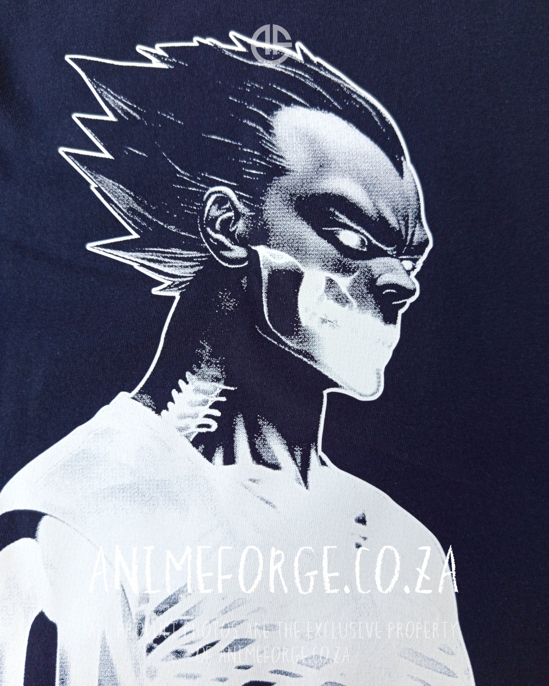 Dragon Ball – Anime Forge